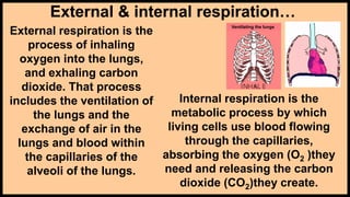 Resp-System.pptx