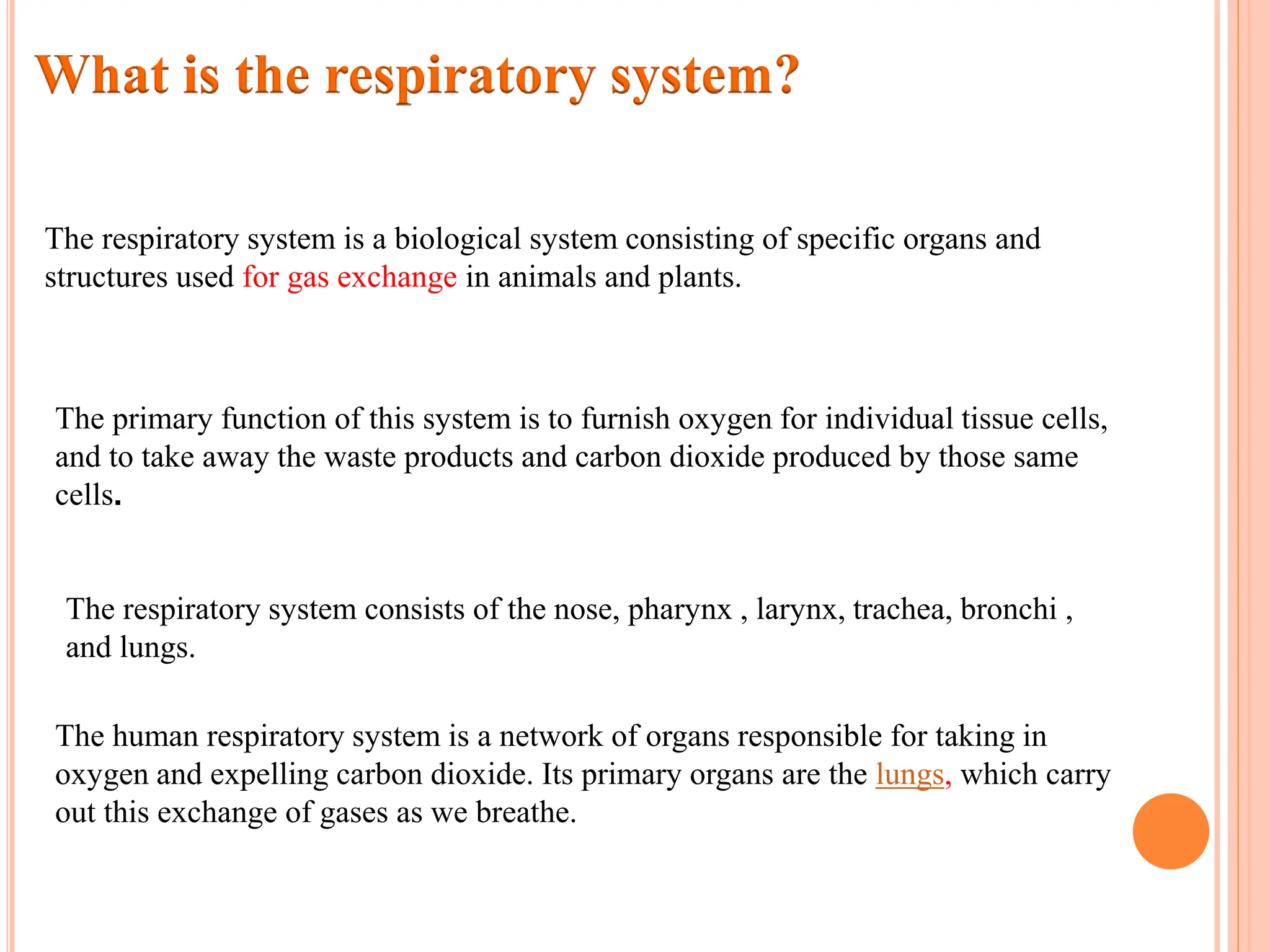Resp-System.ppt human anatomy and physiology | PPT