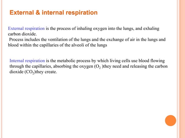 Resp-System.ppt human anatomy and physiology | PPT | Ear, Nose and ...