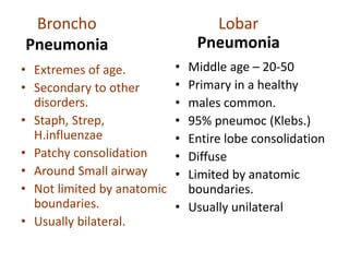 Bronchopneumonia Vs Lobar Pneumonia