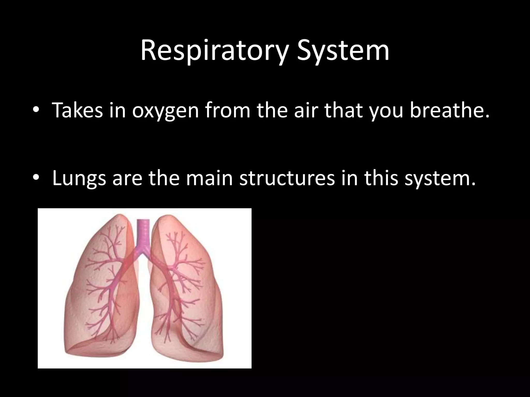 Respiratory and Circulatory Systems | PPTX
