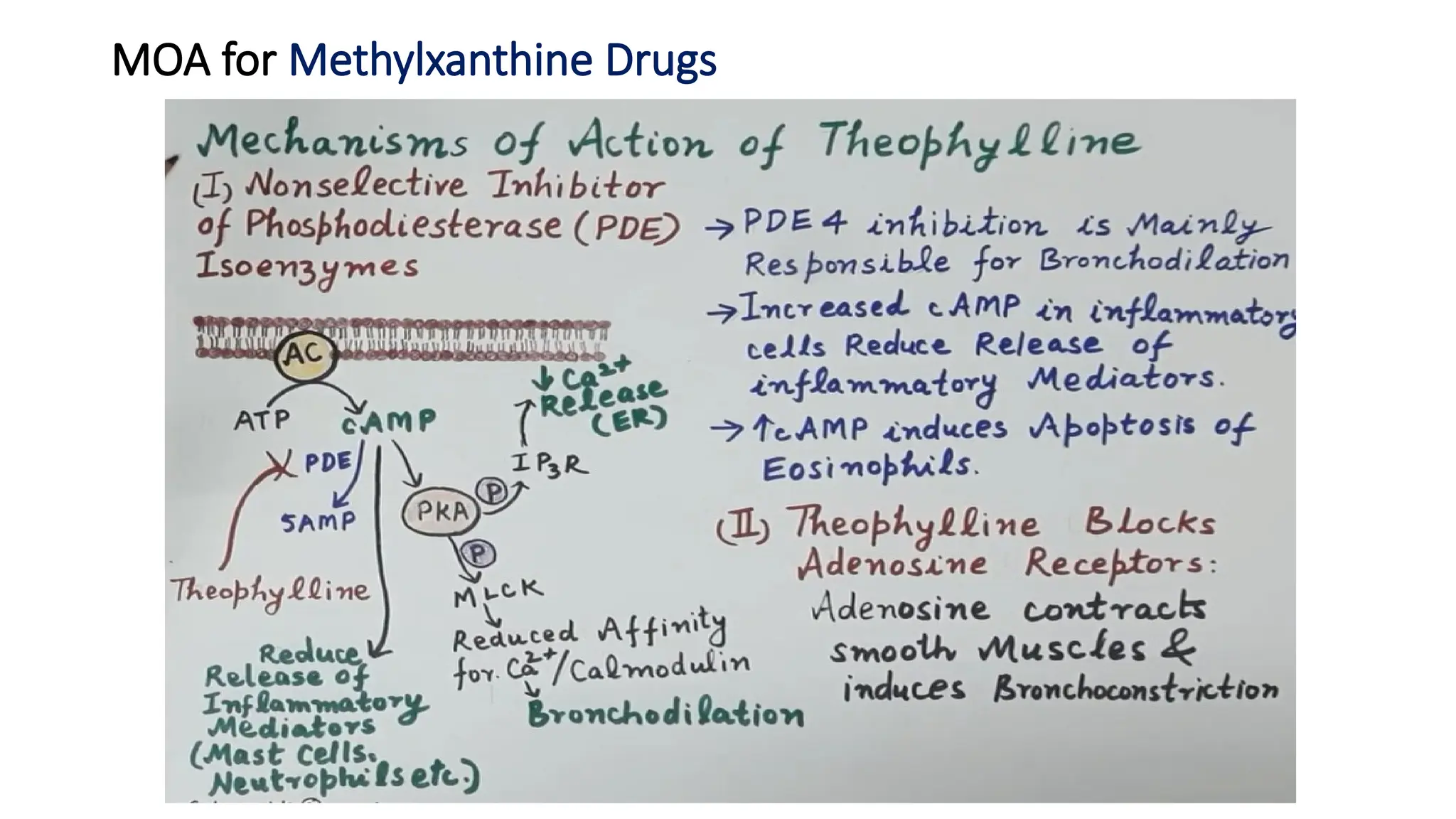 RESPA PHARMACOLOGY treatment of respiratory | PPTX