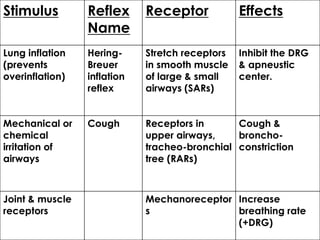 Regulation of Respiration | PPTX