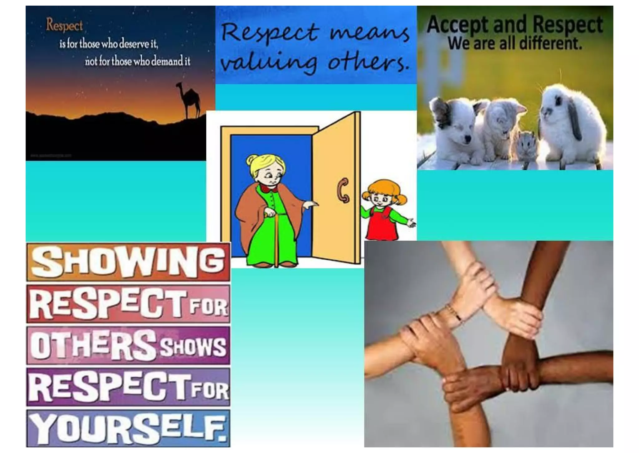 Respect | PDF