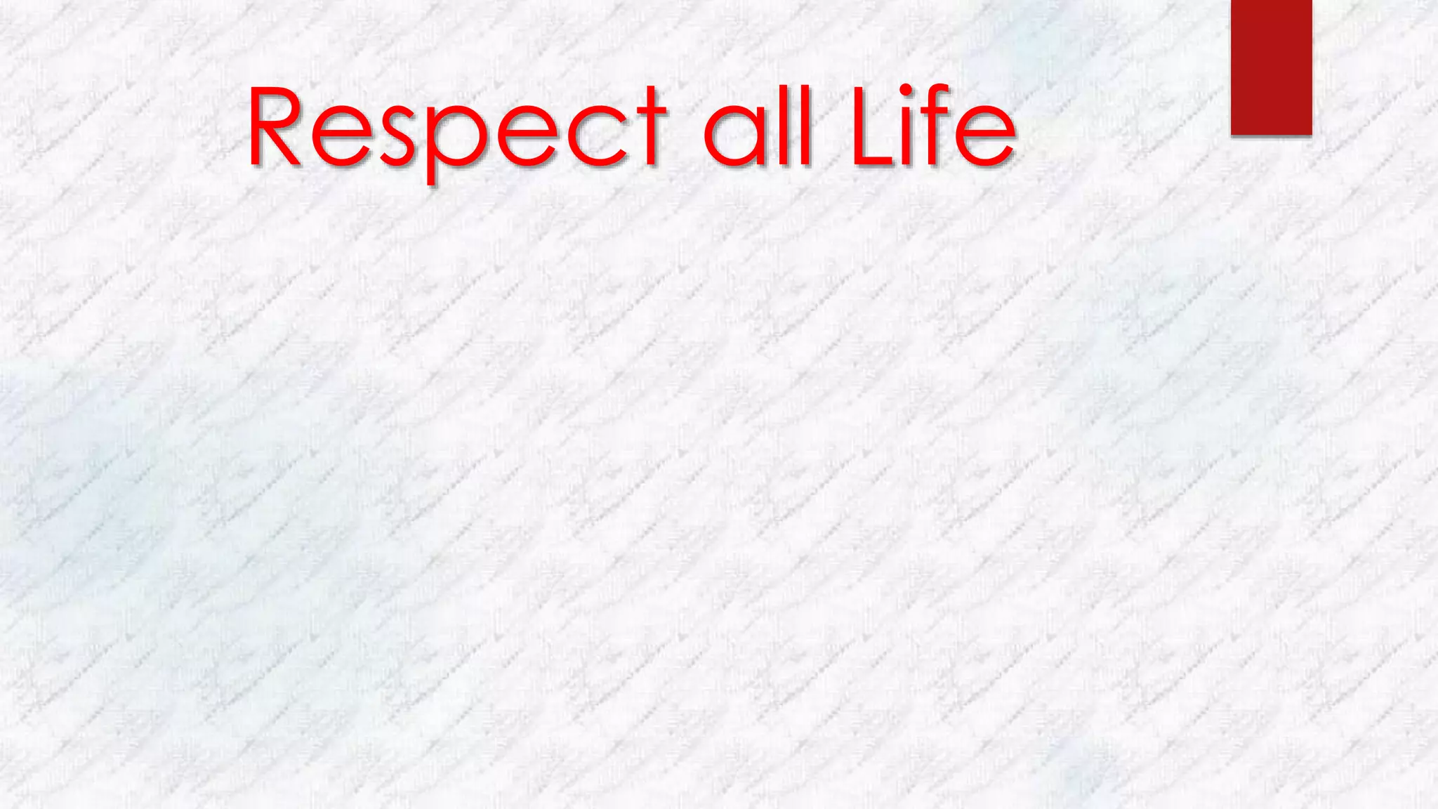 Respect All Life | PPT