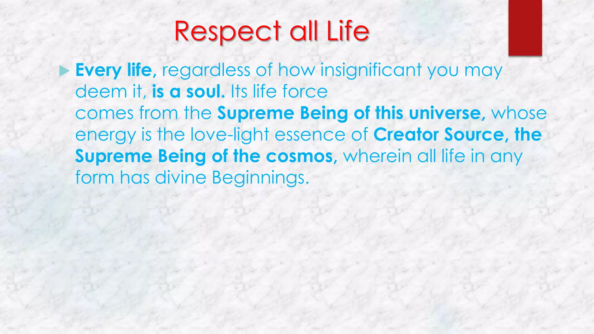 Respect All Life | PPT