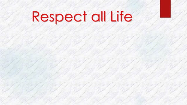 Respect All Life | PPT