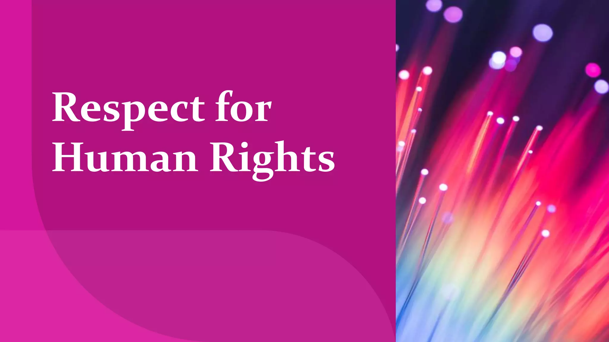 Respect for Human Rights | PPTX