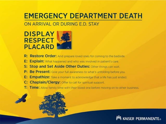 RESPECT Project: An Approach to Death and Dying in the Emergency ...
