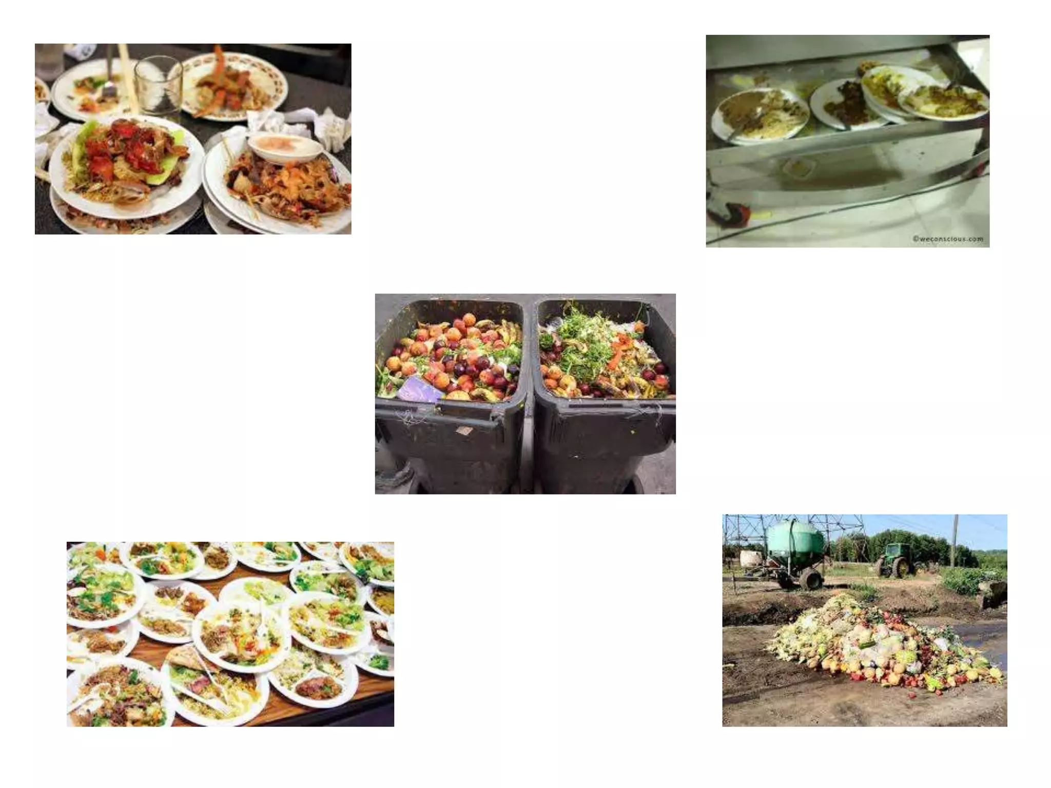 Respect your food | PPT