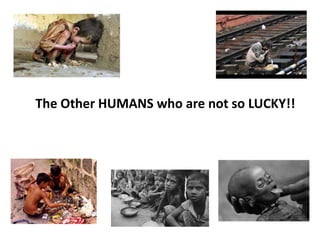 Respect your food | PPT