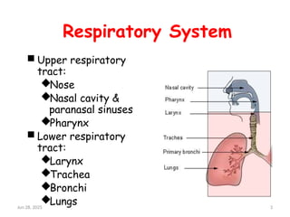 RESPIRATORY EMBRYOLOGY FOR MEDICAL STUDENTS | PPTX
