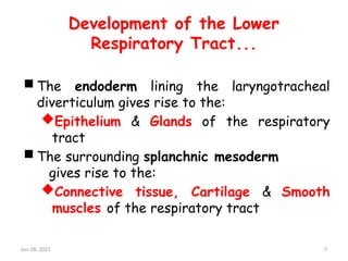 RESPIRATORY EMBRYOLOGY FOR MEDICAL STUDENTS | PPTX