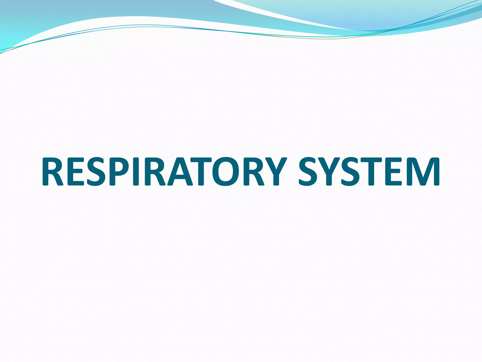Resperattory system | PPT