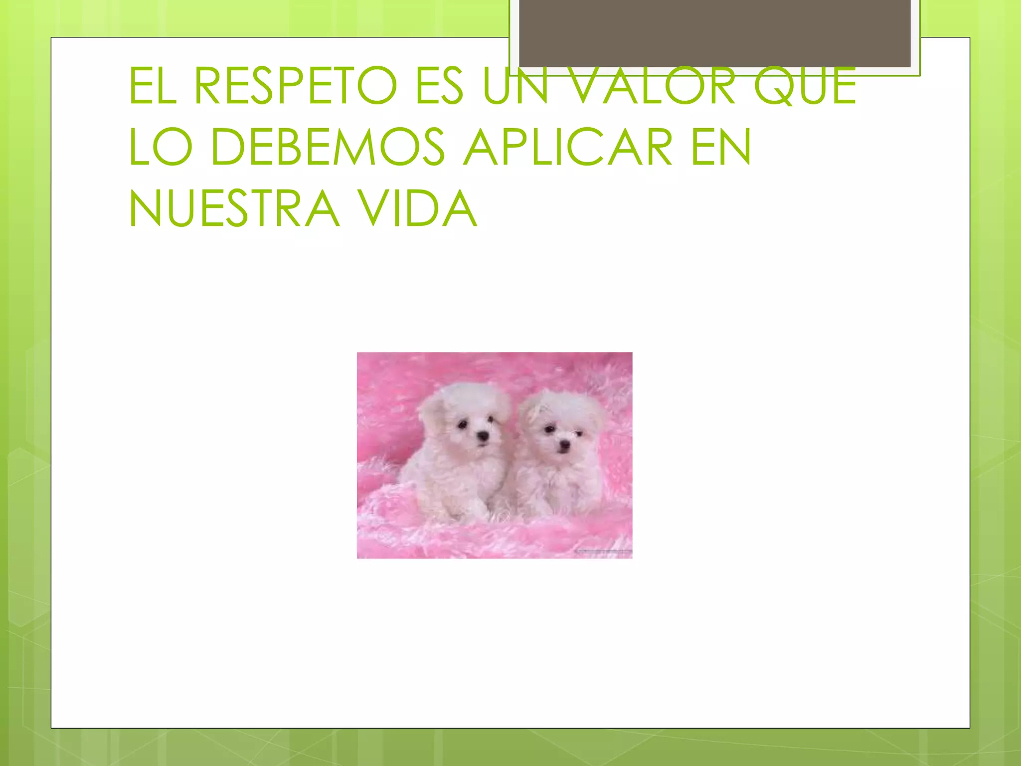 Respeto | PPT
