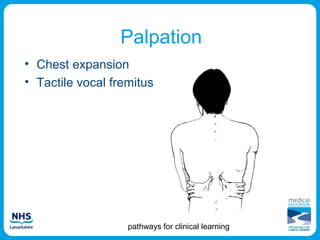 Respiratory Exam | PPT