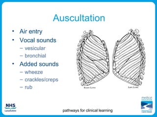 Respiratory Exam | PPT