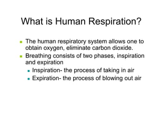 Respiratory system | PPT