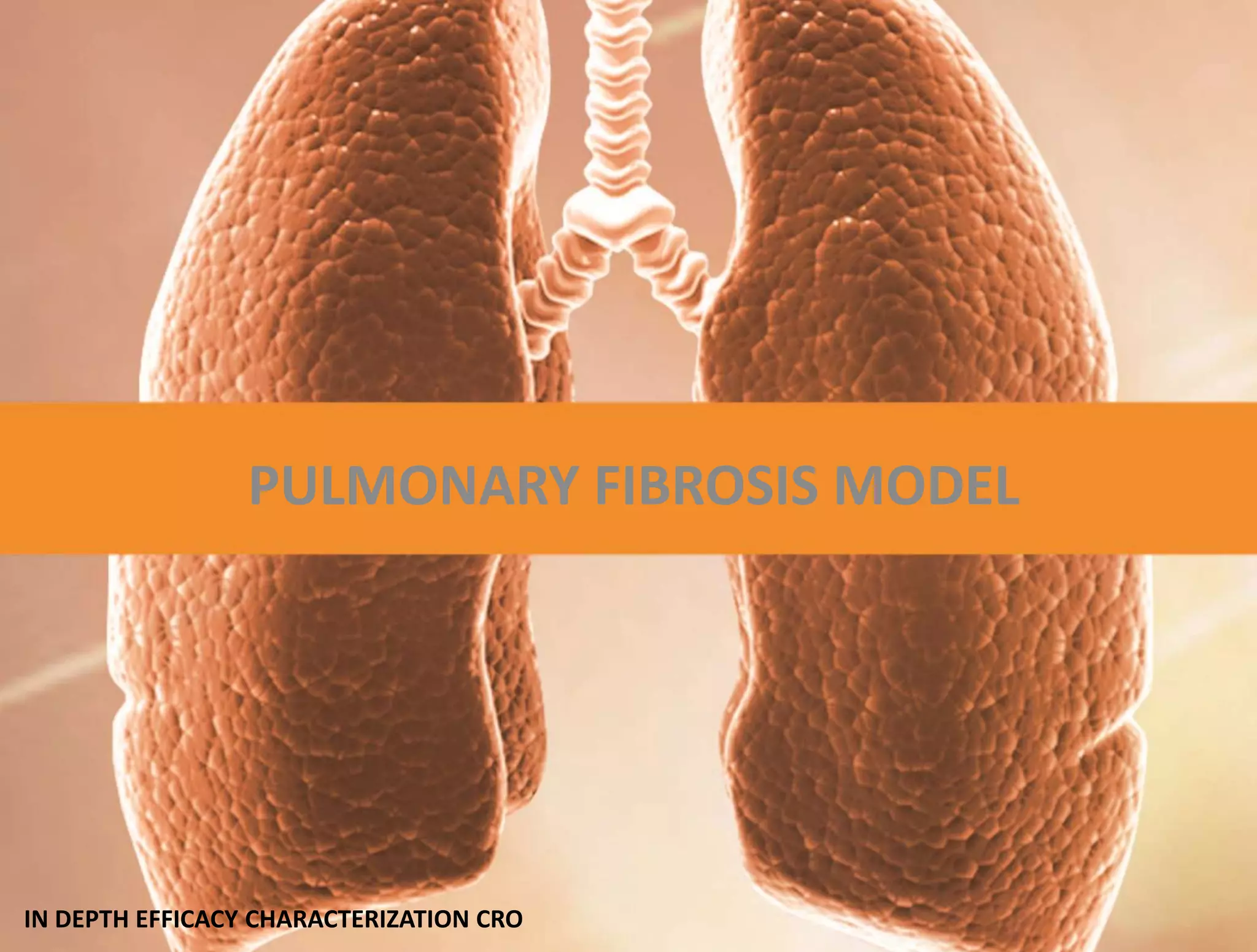 Syncrosome: Respiratory disease models for efficacy characterization | PPT