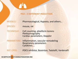 Syncrosome: Respiratory disease models for efficacy characterization | PPT