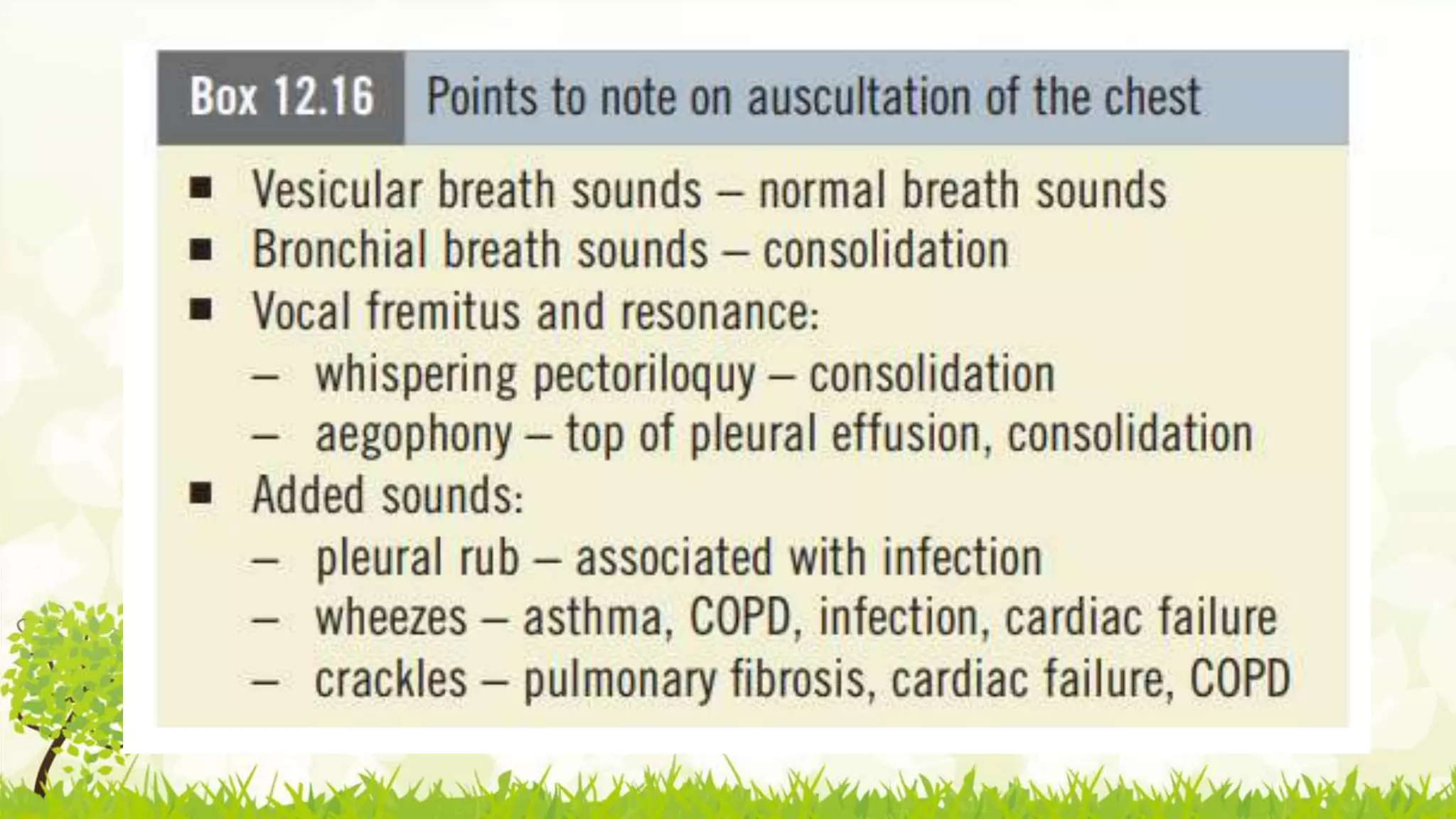 Respiratory system auscultation | PPTX