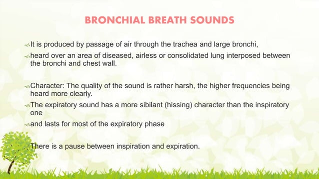 Respiratory system auscultation | PPTX