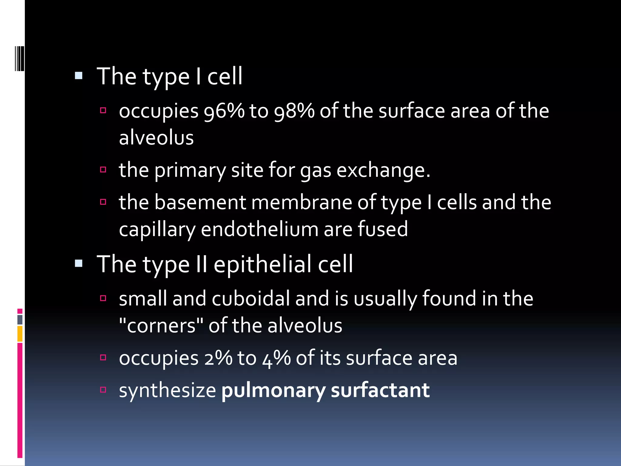 Respi functional anatomy | PPT