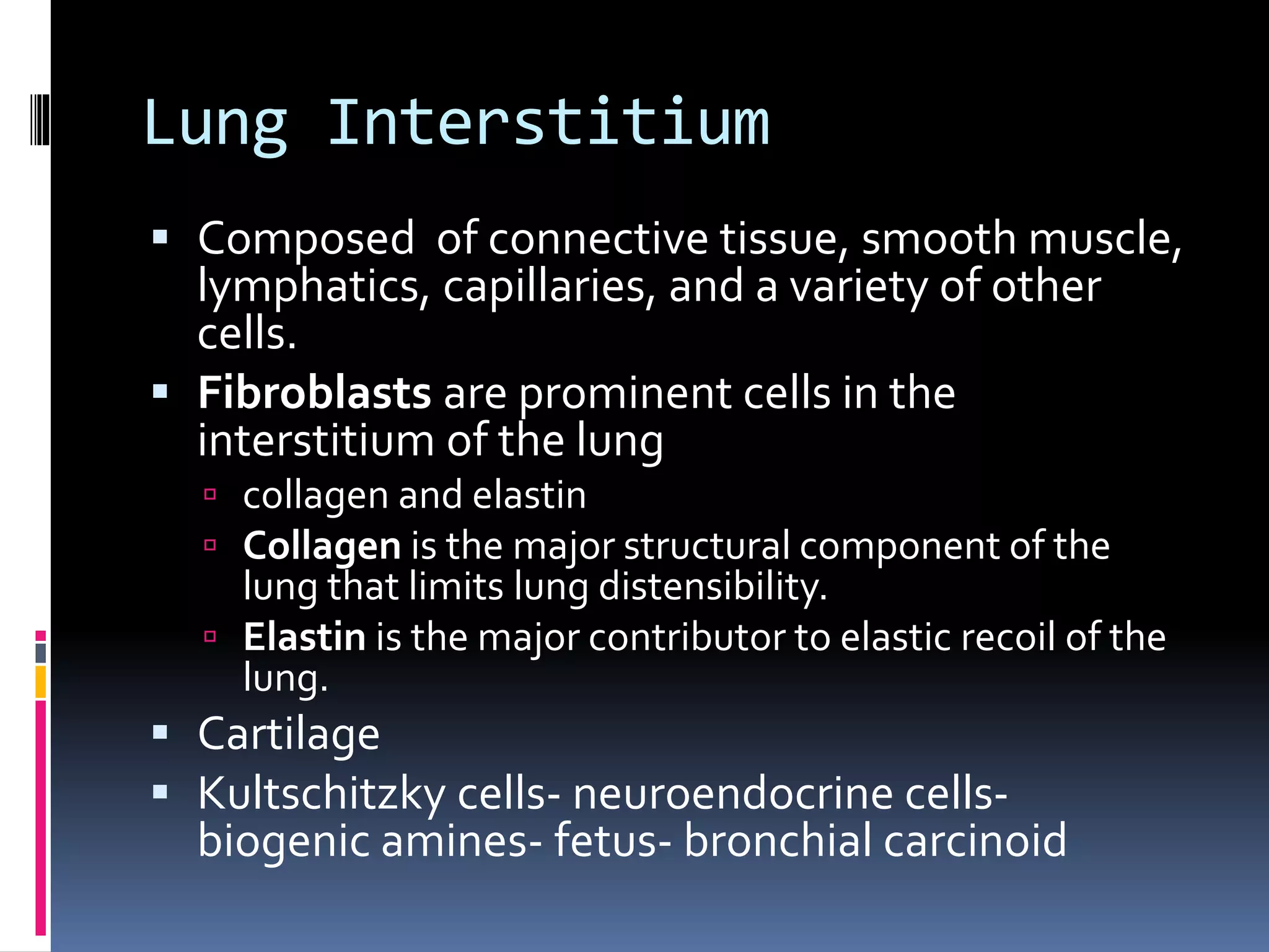 Respi functional anatomy | PPT