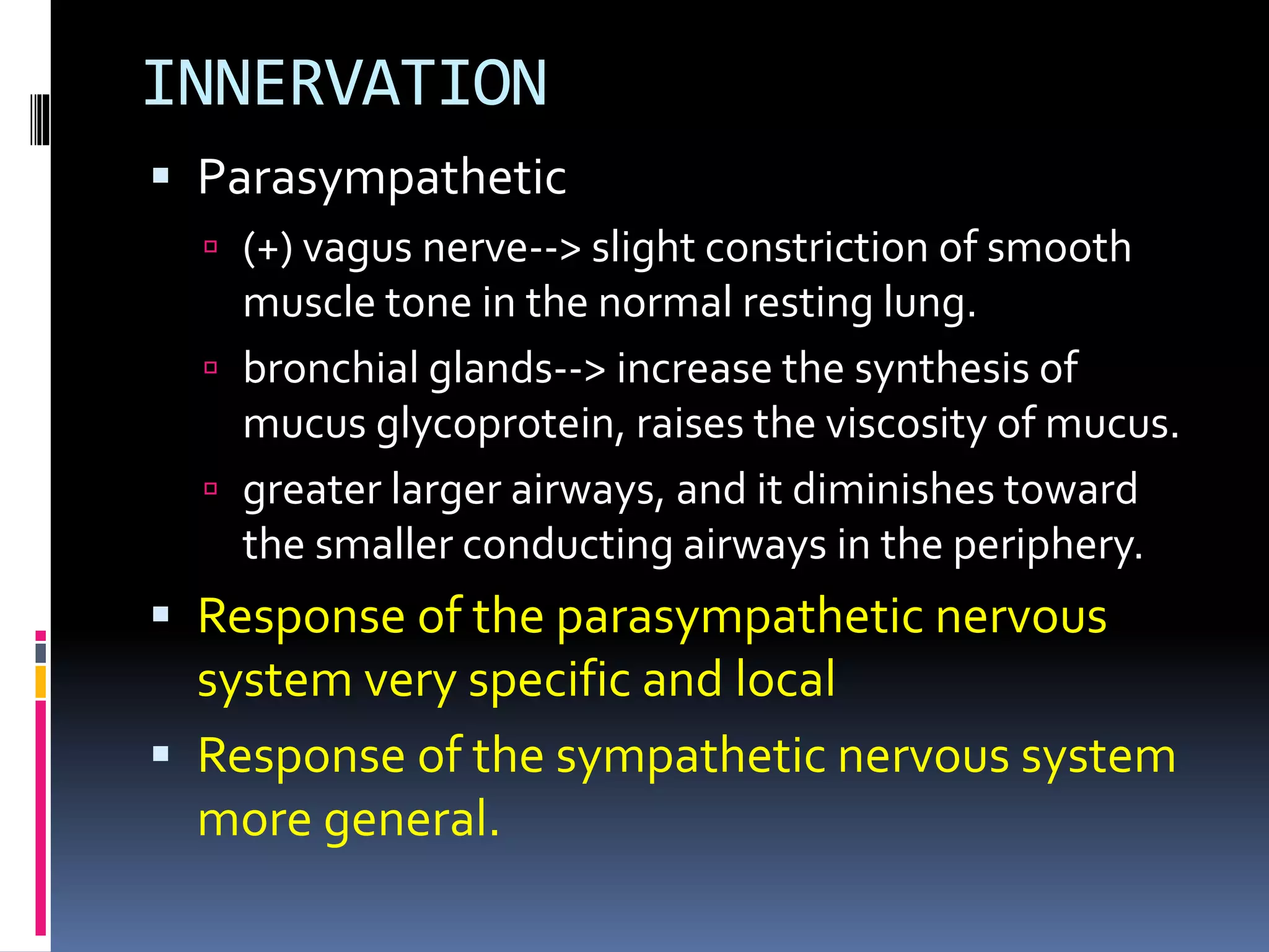 Respi functional anatomy | PPT