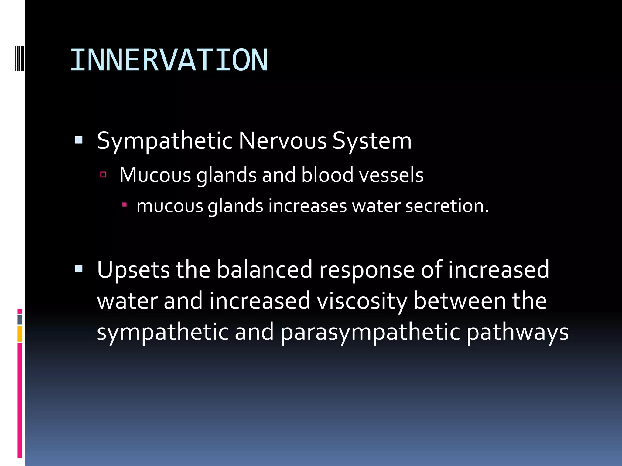 Respi functional anatomy | PPT