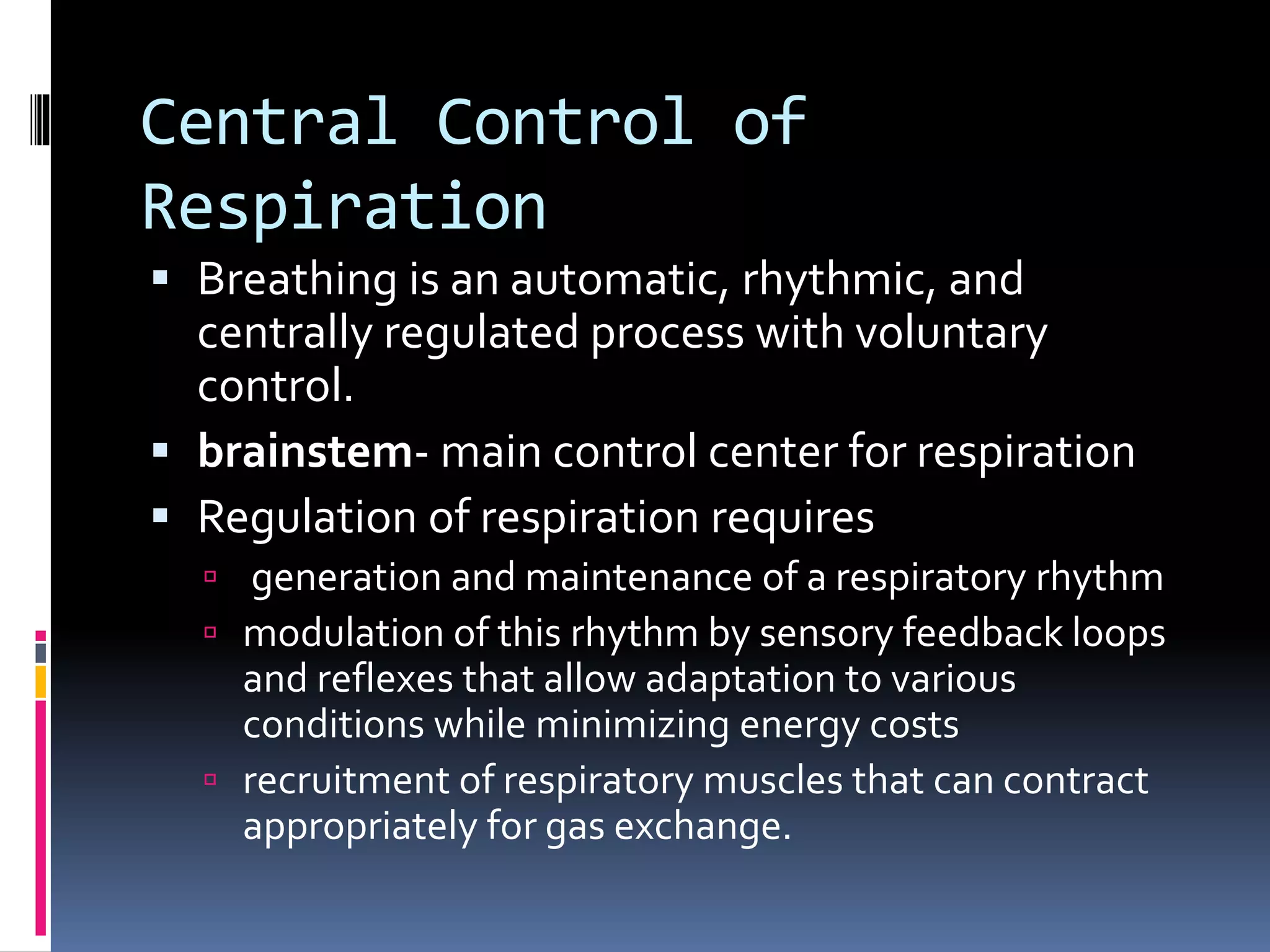 Respi functional anatomy | PPT