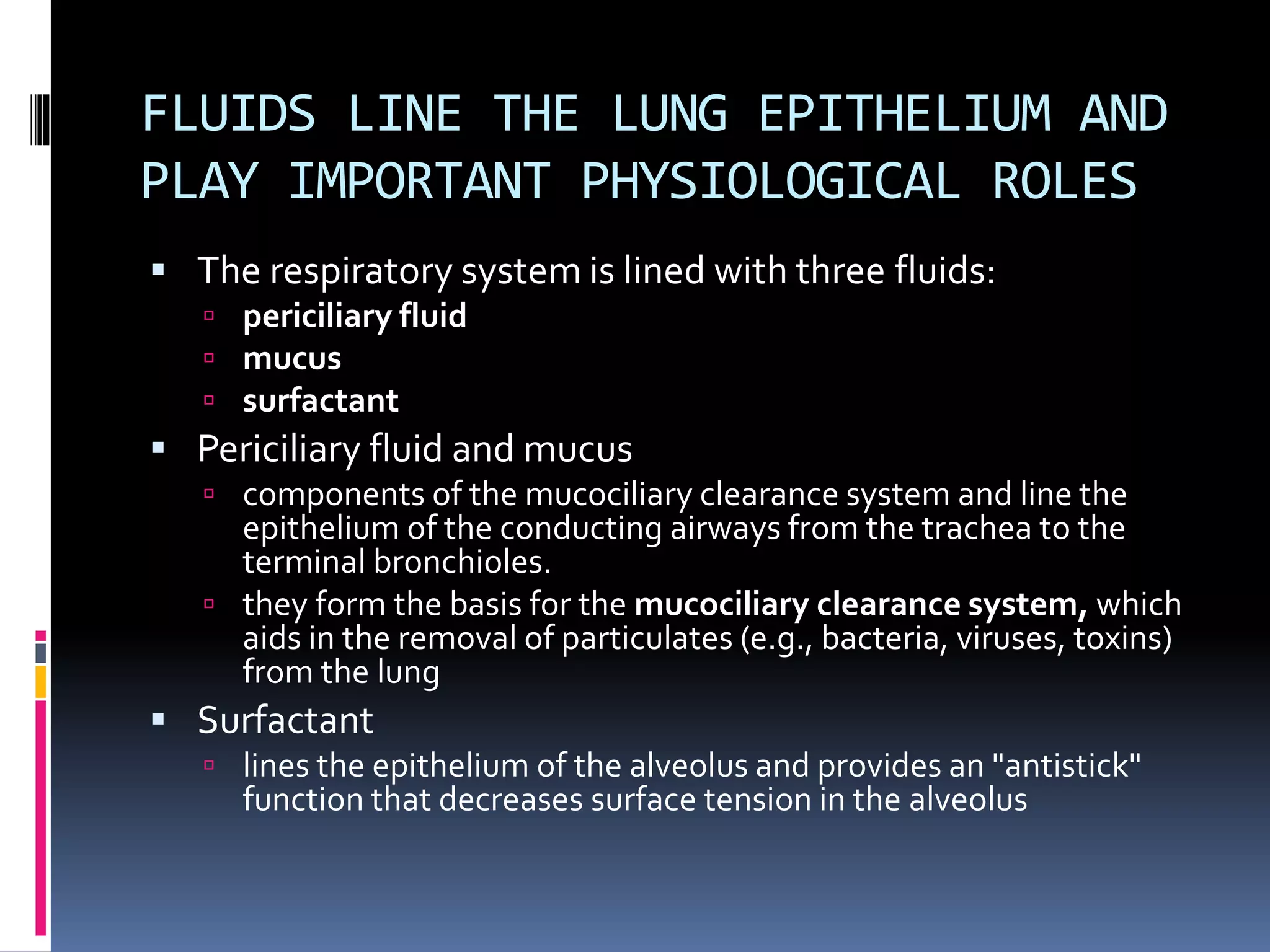 Respi functional anatomy | PPT