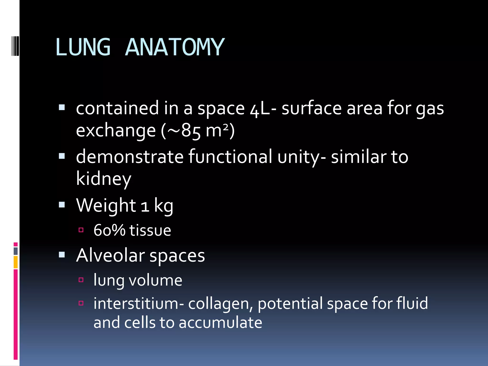 Respi functional anatomy | PPTX