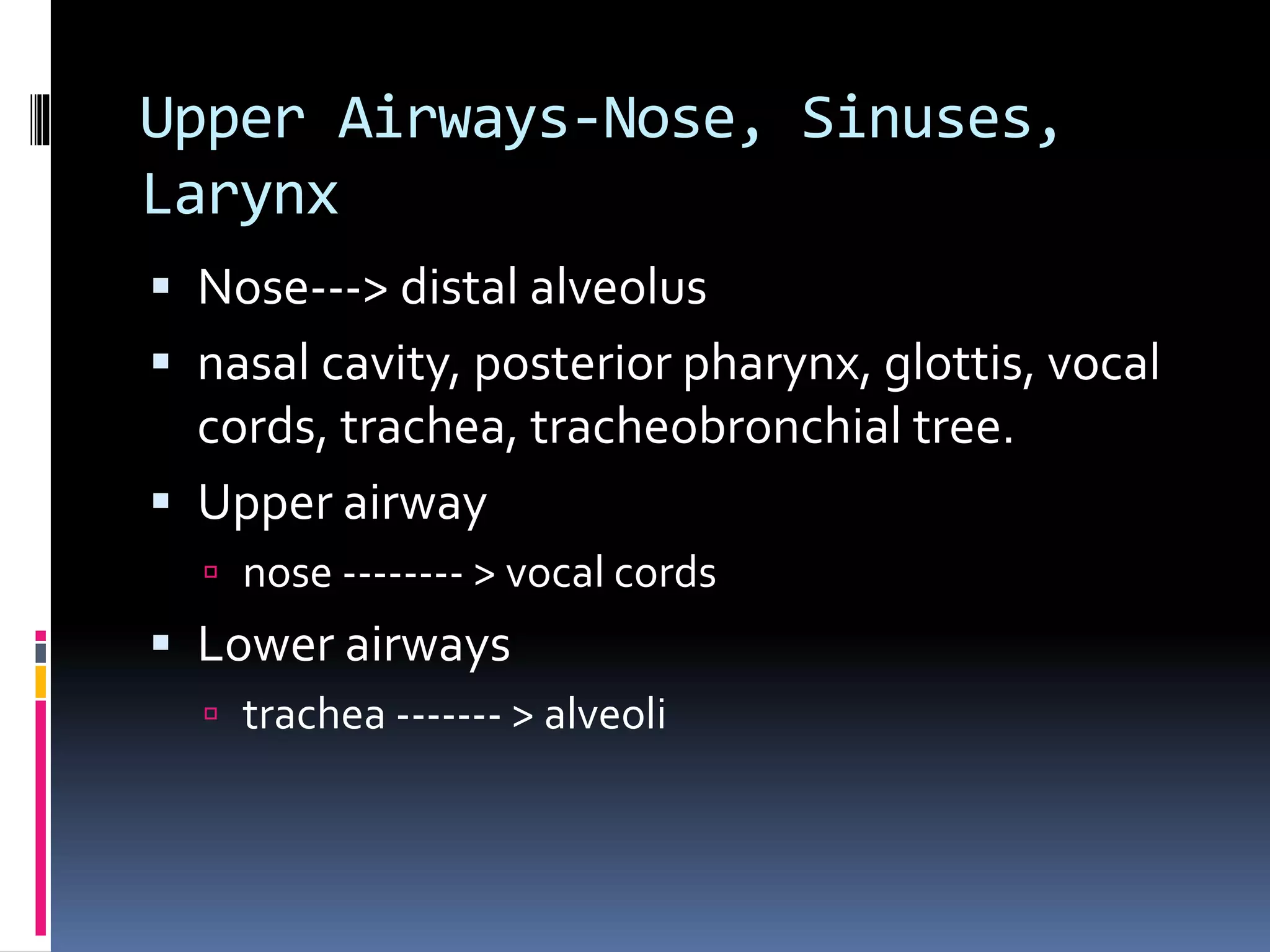Respi functional anatomy | PPTX