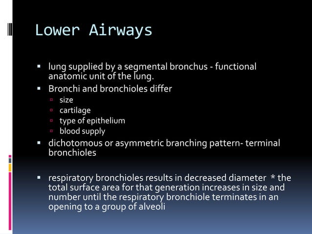 Respi functional anatomy | PPT