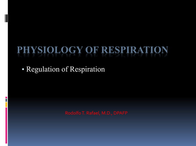 Respi functional anatomy | PPT