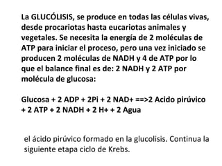 RESPIRACIÓN CELULAR : AEROBICA | PPT