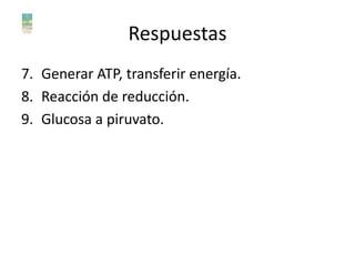 Respiración celular glucólisis | PPTX