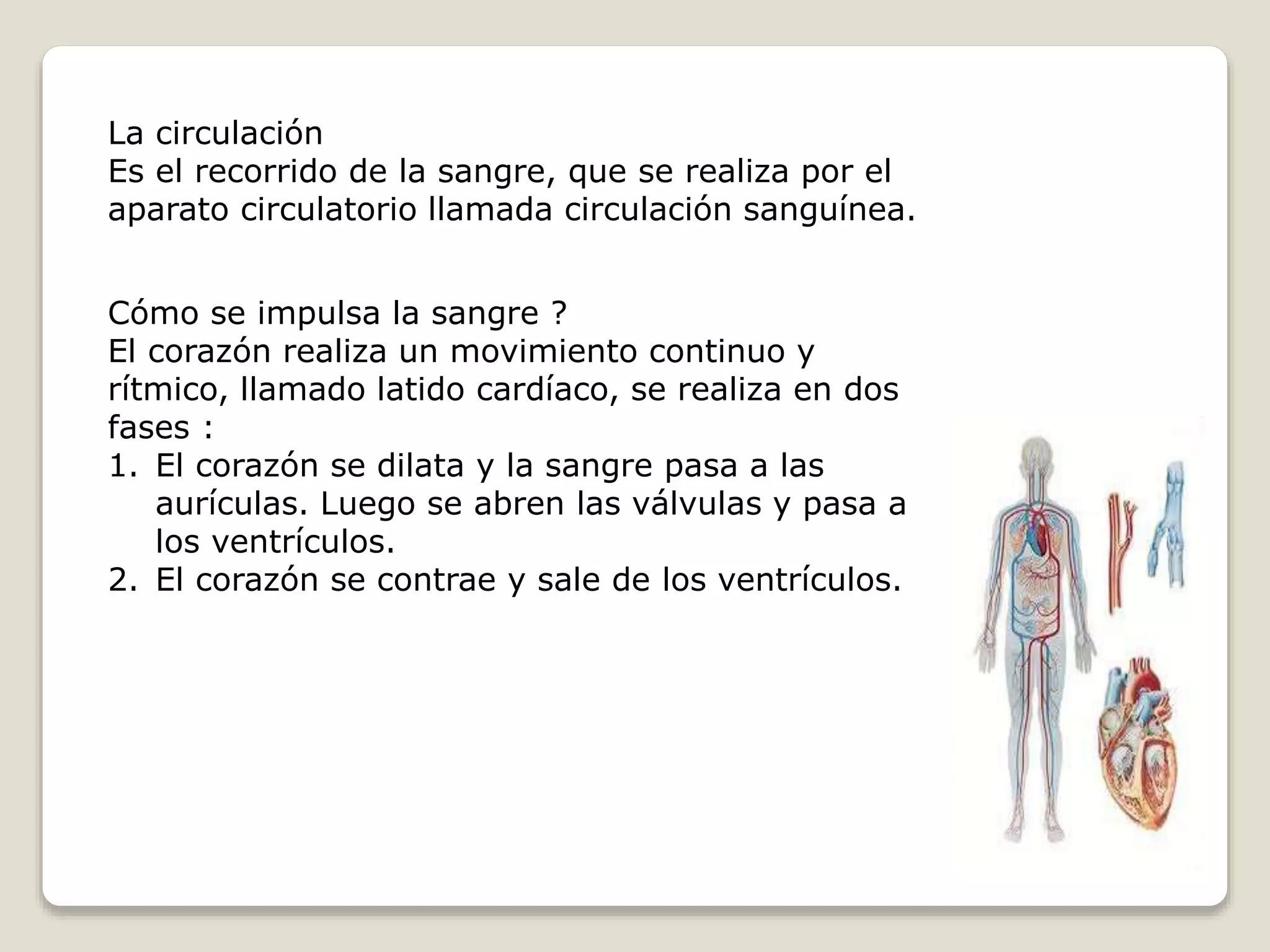 Respiración Circulación Y Excreción Paolo Ppt
