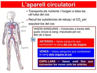 Respiracio circulacio-excrecio | PPT