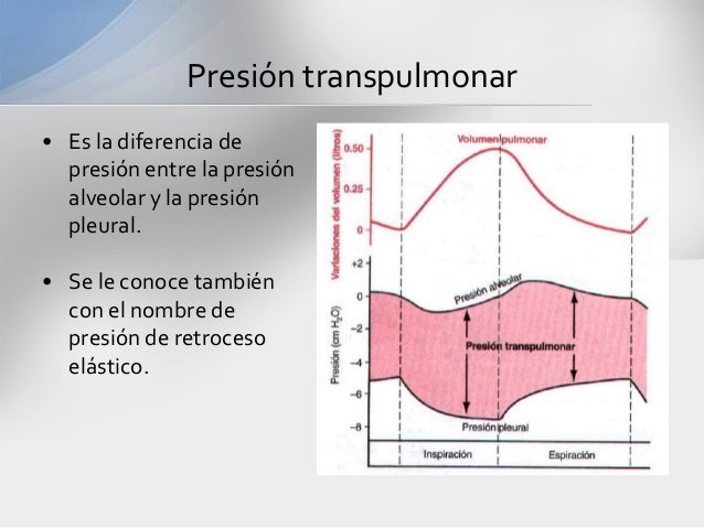 Respiración