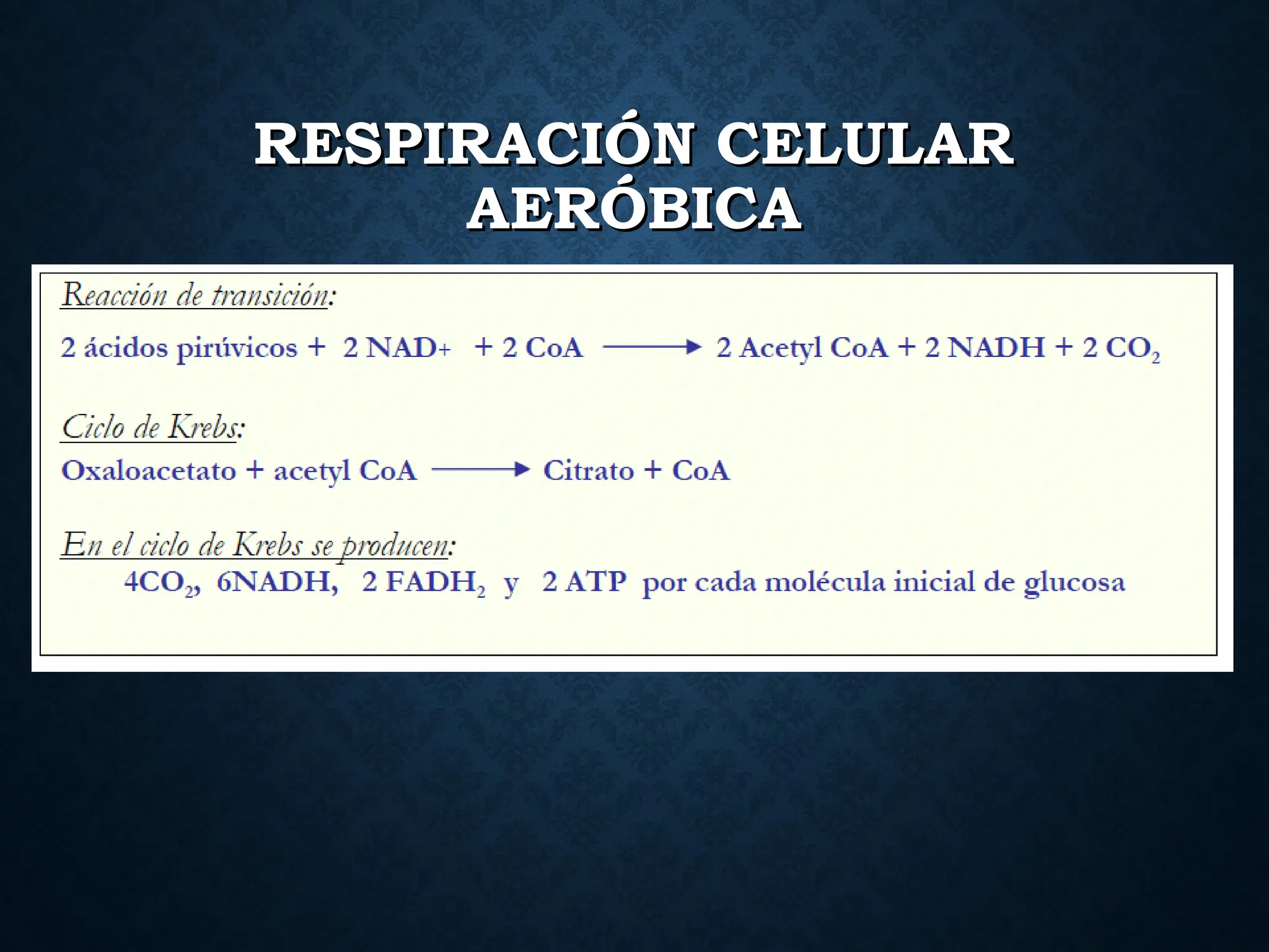 respiracion celulR.ppt BIOLOGIA SECUNDARIA | PPT