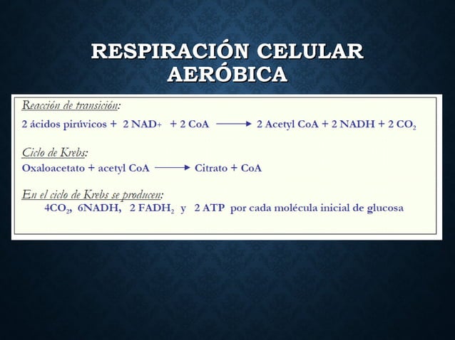 respiracion celulR.ppt BIOLOGIA SECUNDARIA | PPT | Biological Sciences ...