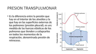 MECANICA VENTILATORIA. MUSCULOS DE LA RESPIRACION | PPTX