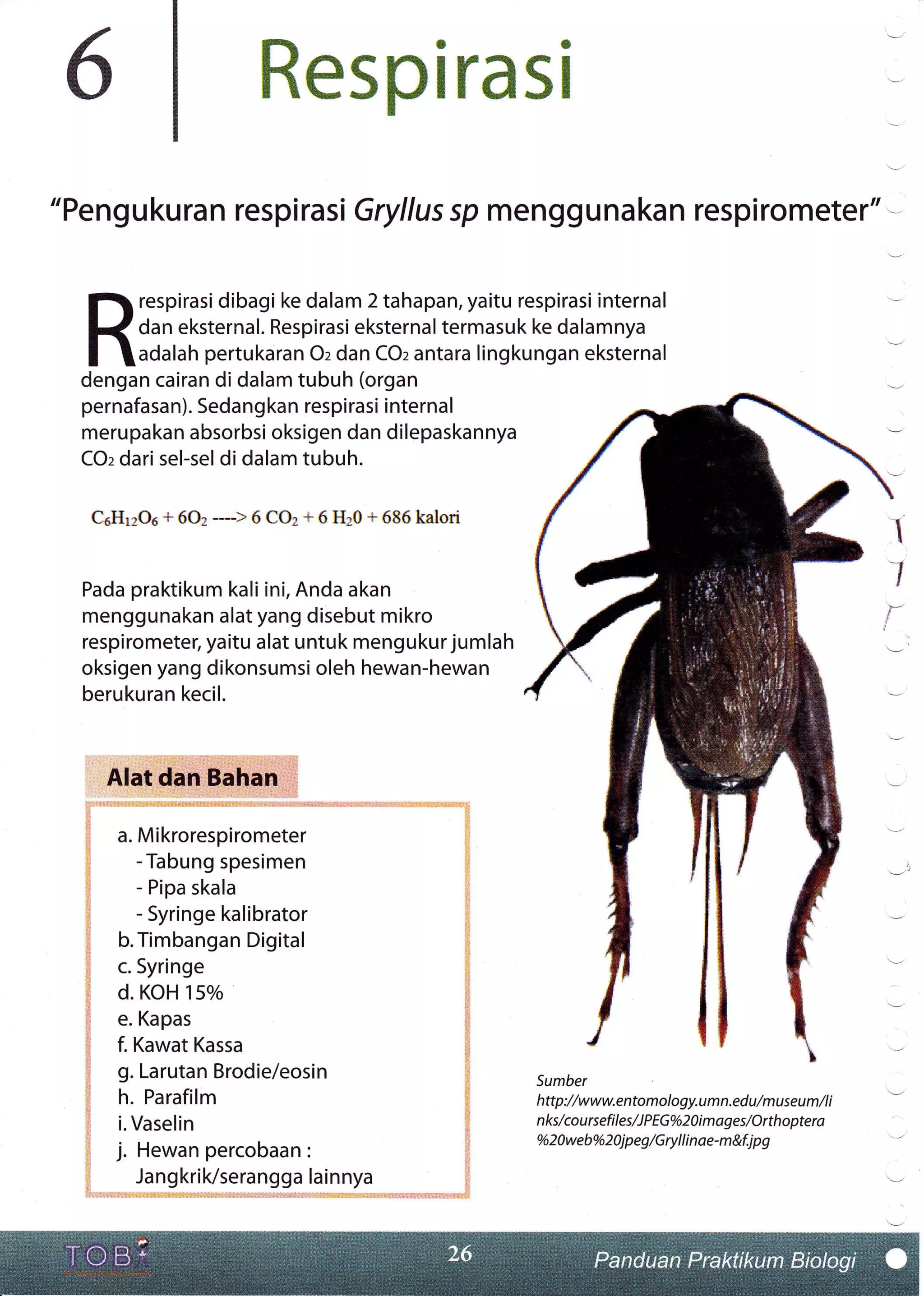 Respirasi | PDF