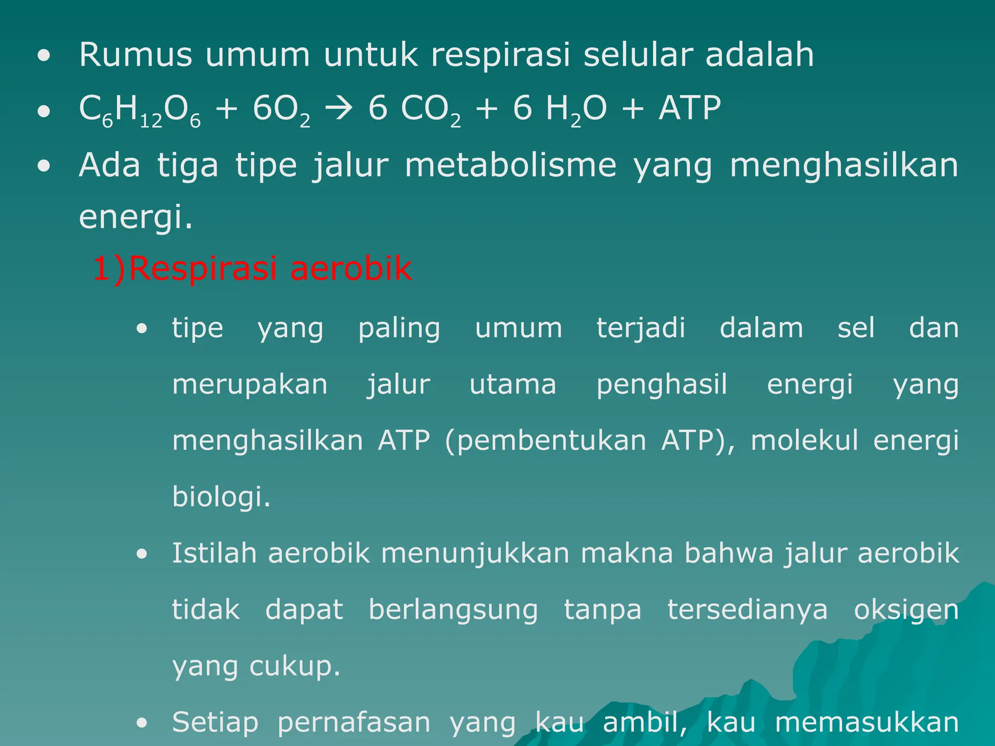 Mata Kuliah Biologi Mengenai RESPIRASI.ppt