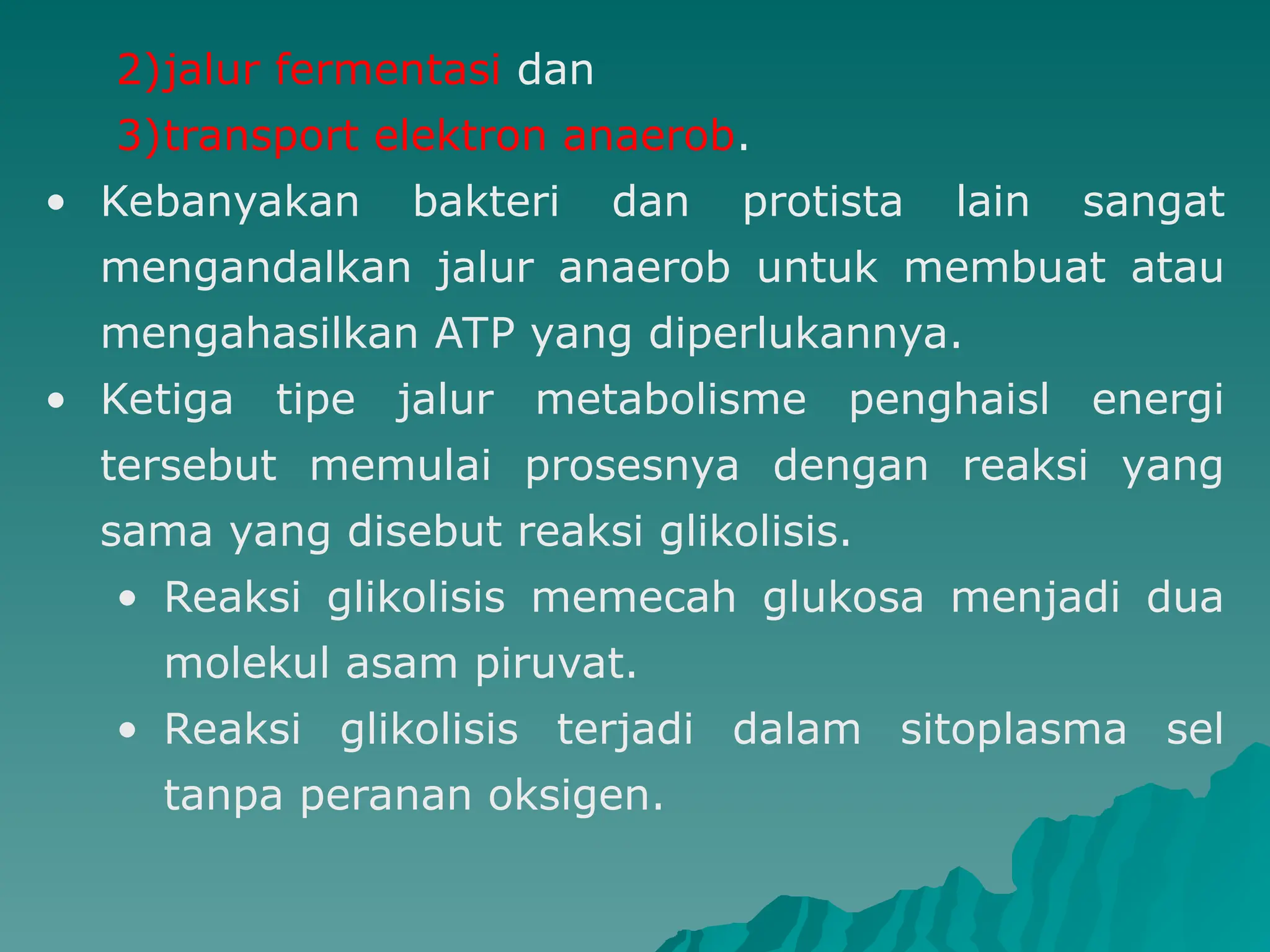 Mata Kuliah Biologi Mengenai RESPIRASI.ppt