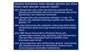 Respirasi............................... | PPTX