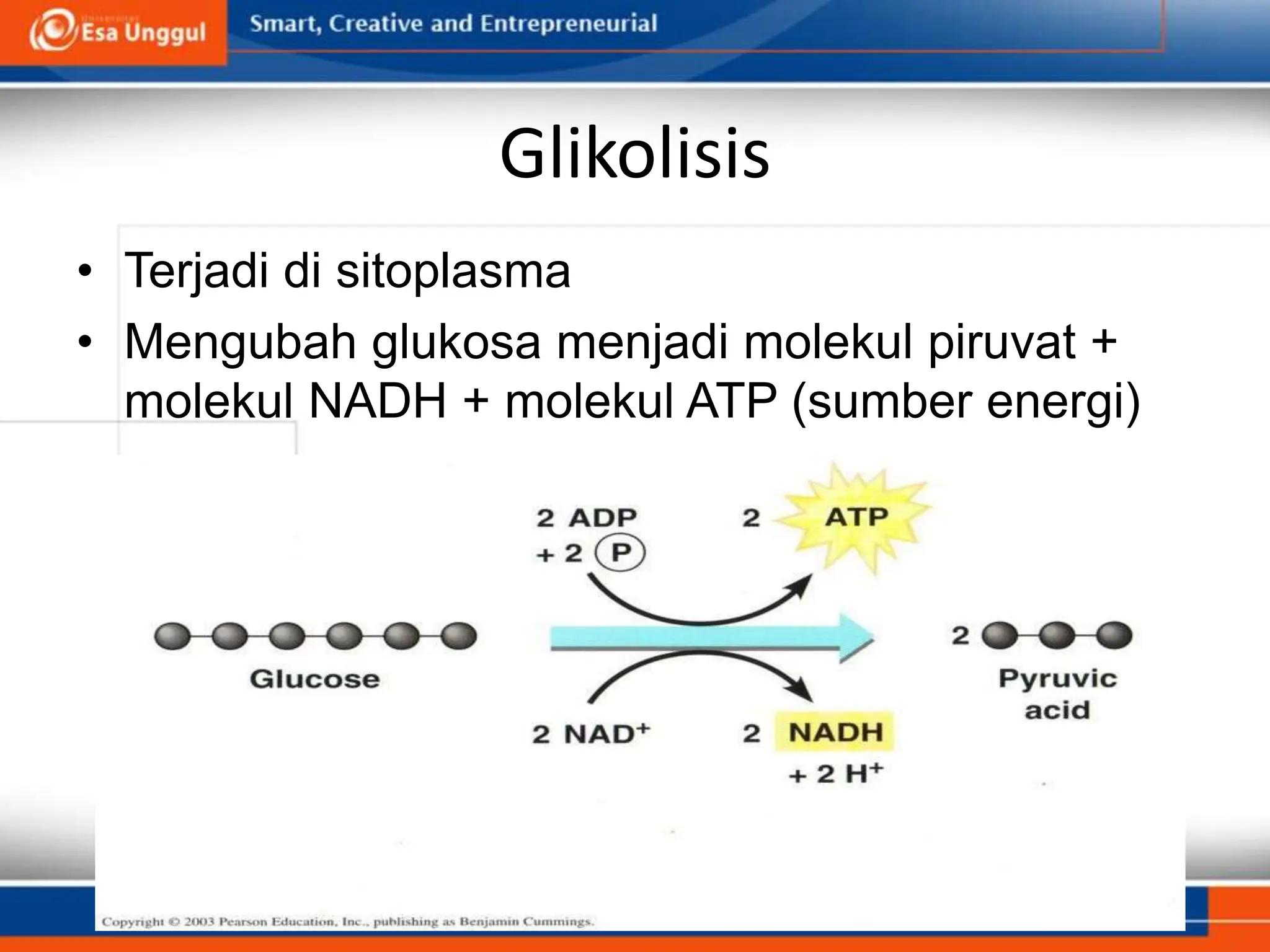 Respirasi-dan-Fotosintesis-Pertemuan-Ke-5.pptx