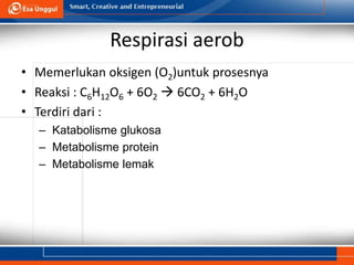 Respirasi-dan-Fotosintesis-Pertemuan-Ke-5.pptx